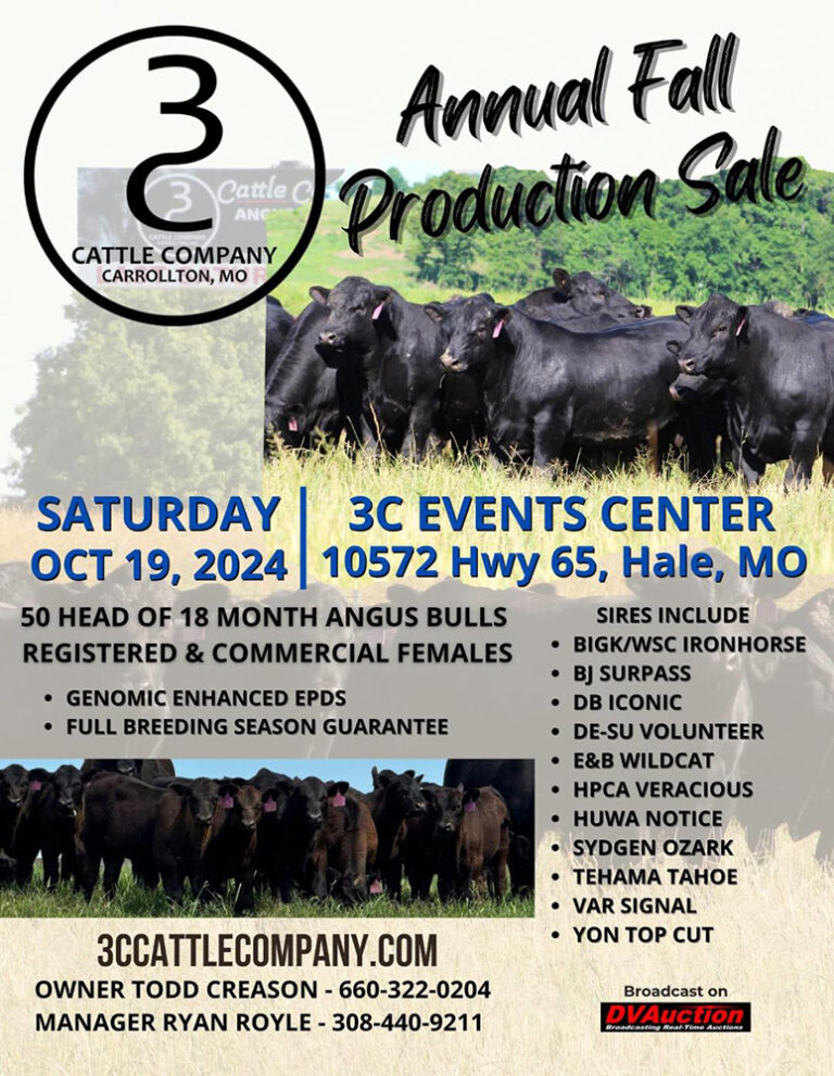 Cattle Sales – Stockyard Media