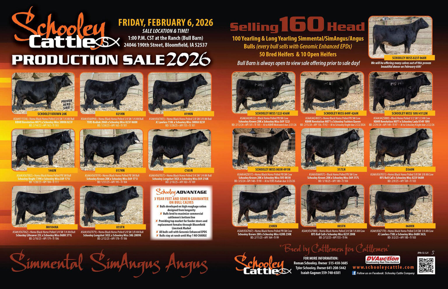 Schooley Cattle – Stockyard Media